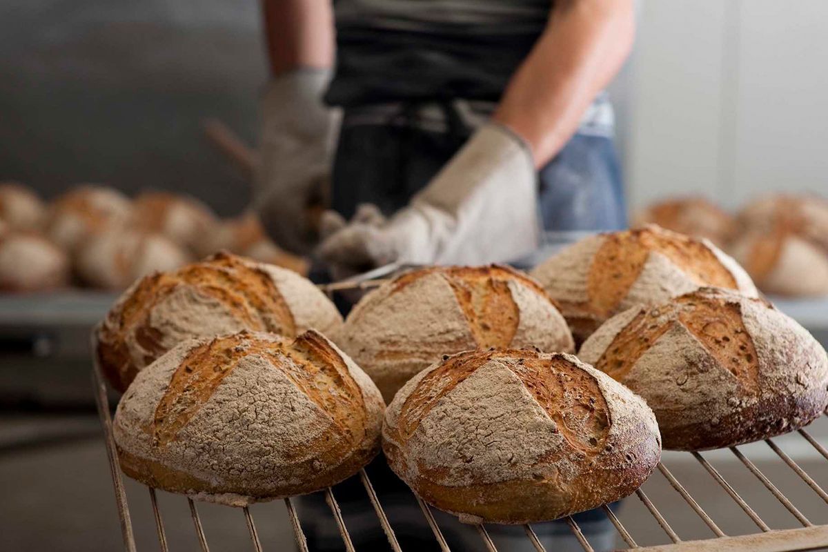 Off-Grid Baking: Crafting Artisanal Breads and Delights - Practical Off ...