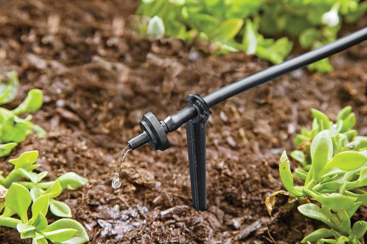 DIY Drip Irrigation: A Beginner's Guide to Setting Up a Cost-Effective ...