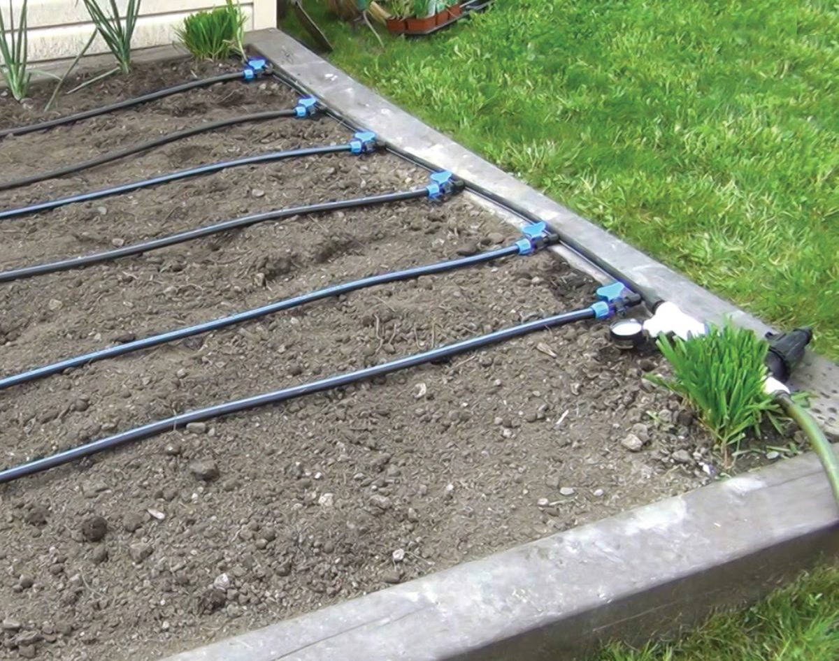 Rainwater Harvesting: A Key Component of Any Off-Grid Irrigation System ...