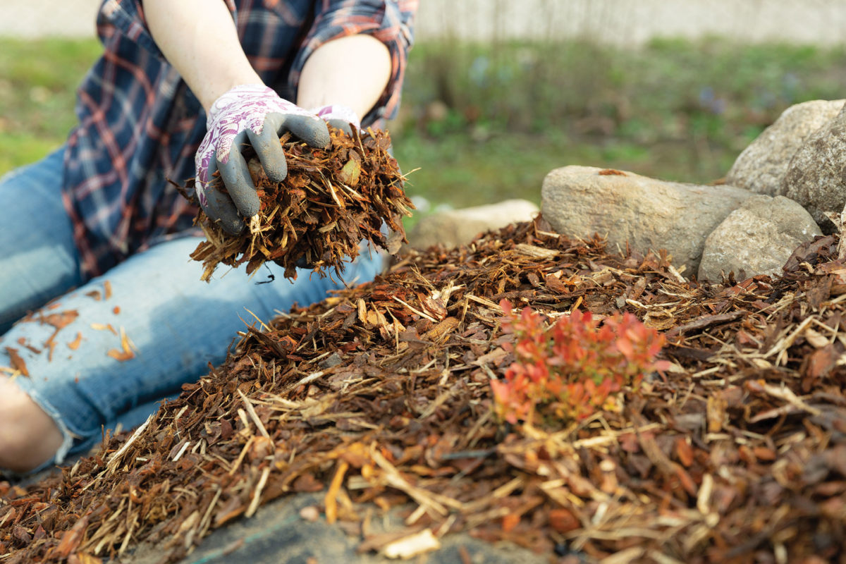The Benefits of Mulching: Boosting Soil Health and Reducing Maintenance ...