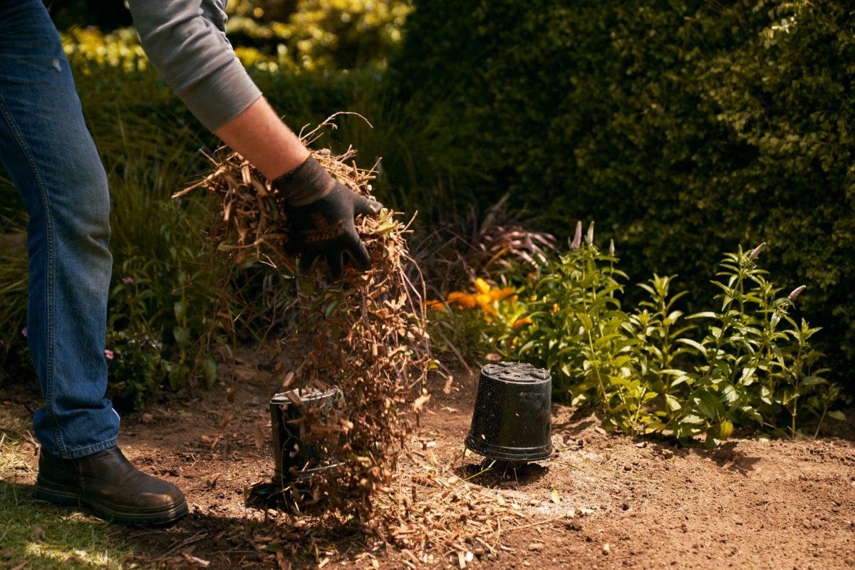 The Benefits of Using Mulch in Your Garden, and How to Make It Happen ...
